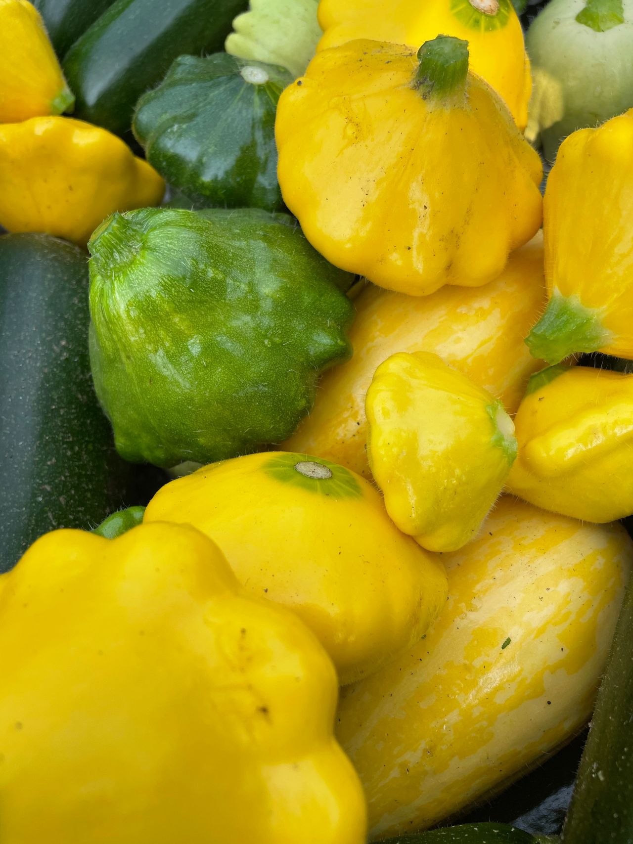 Types Of Yellow Squash