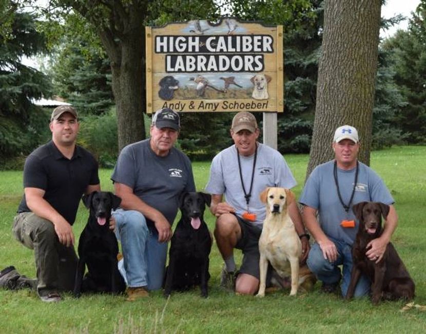 Contact Us | High Caliber Labradors