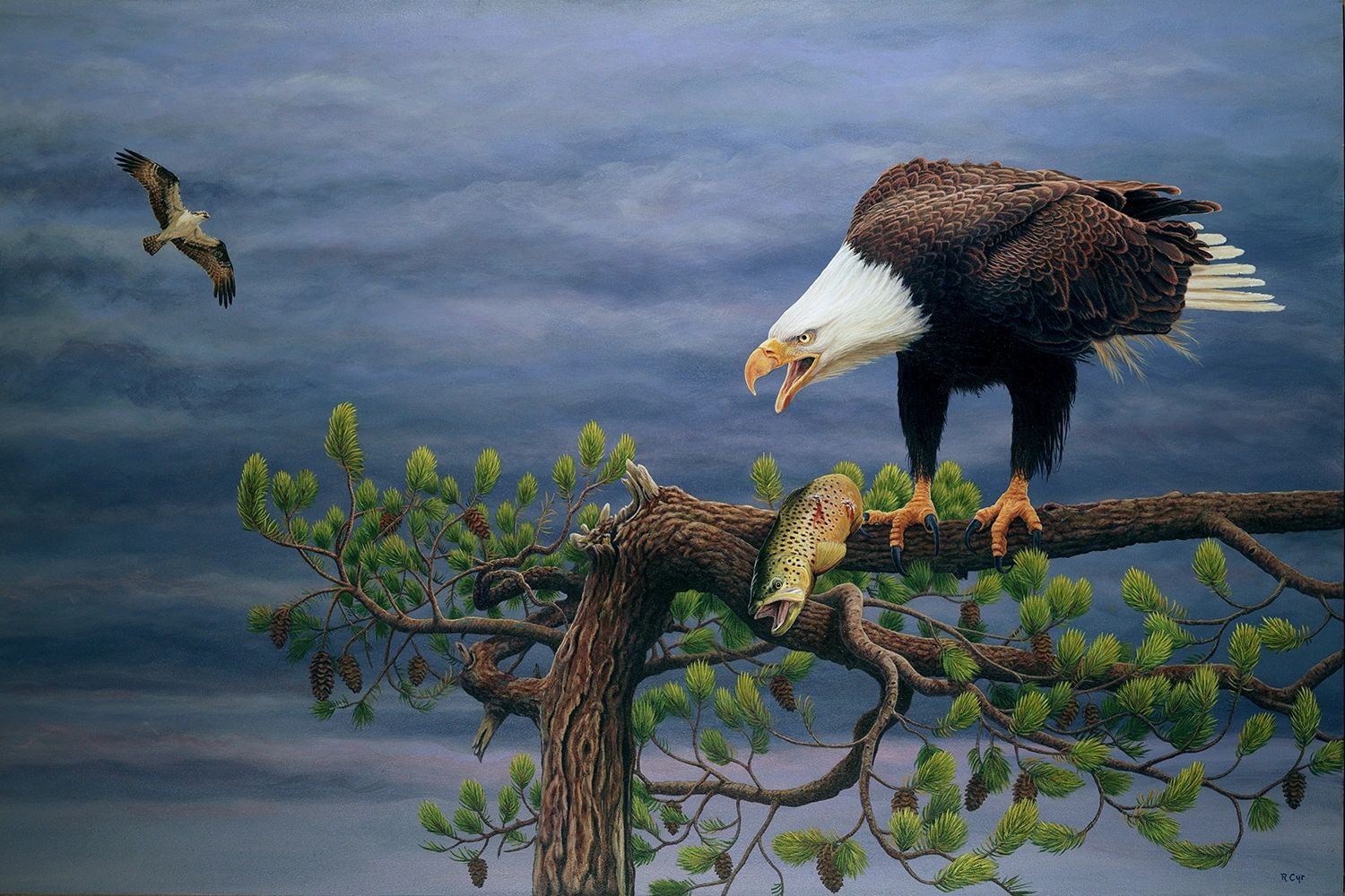 Robert Cyr Fine Art - Art, Paintings, Art, Wildlife