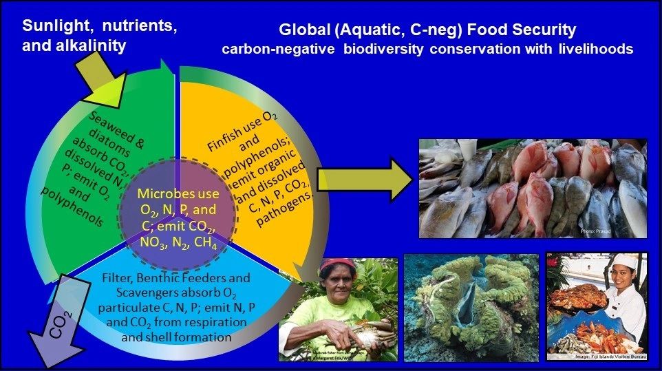 OceanForesters Papers