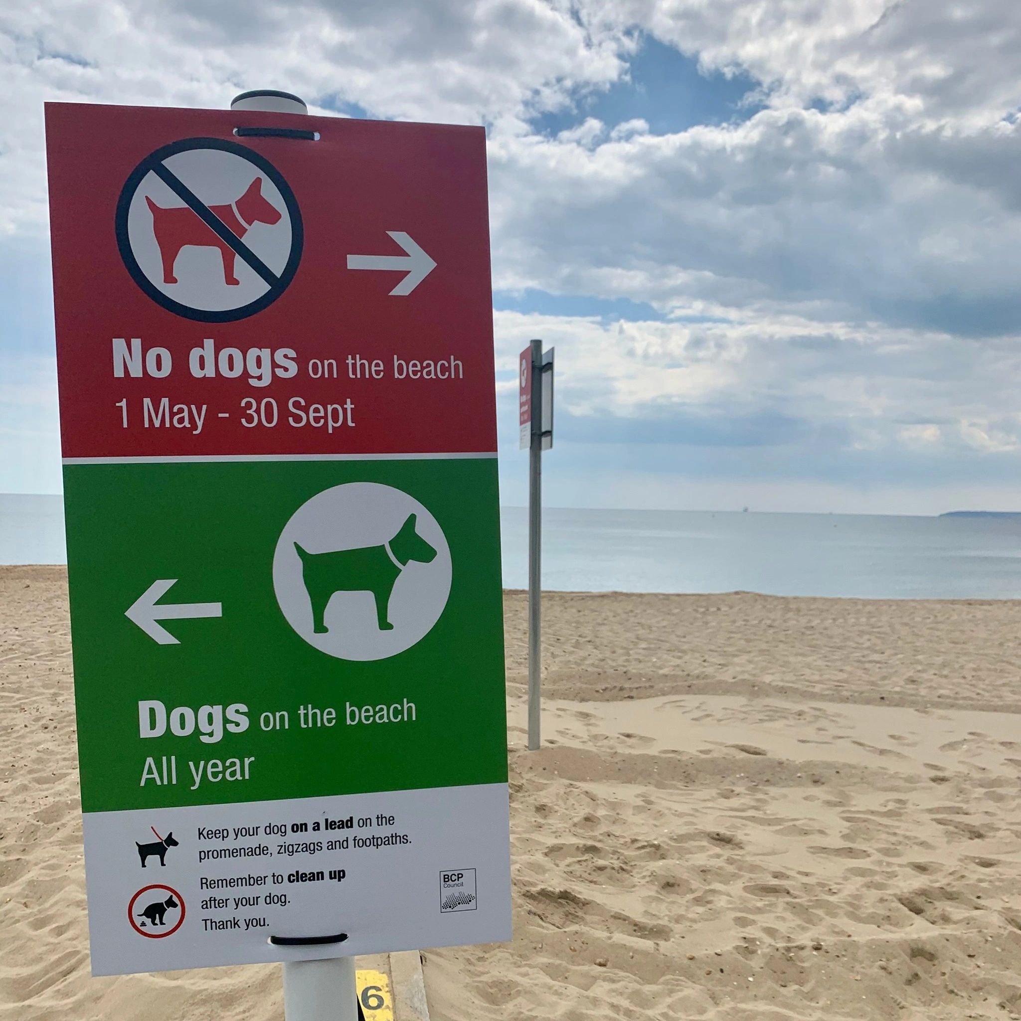 Are dogs allowed on the beach this Summer?