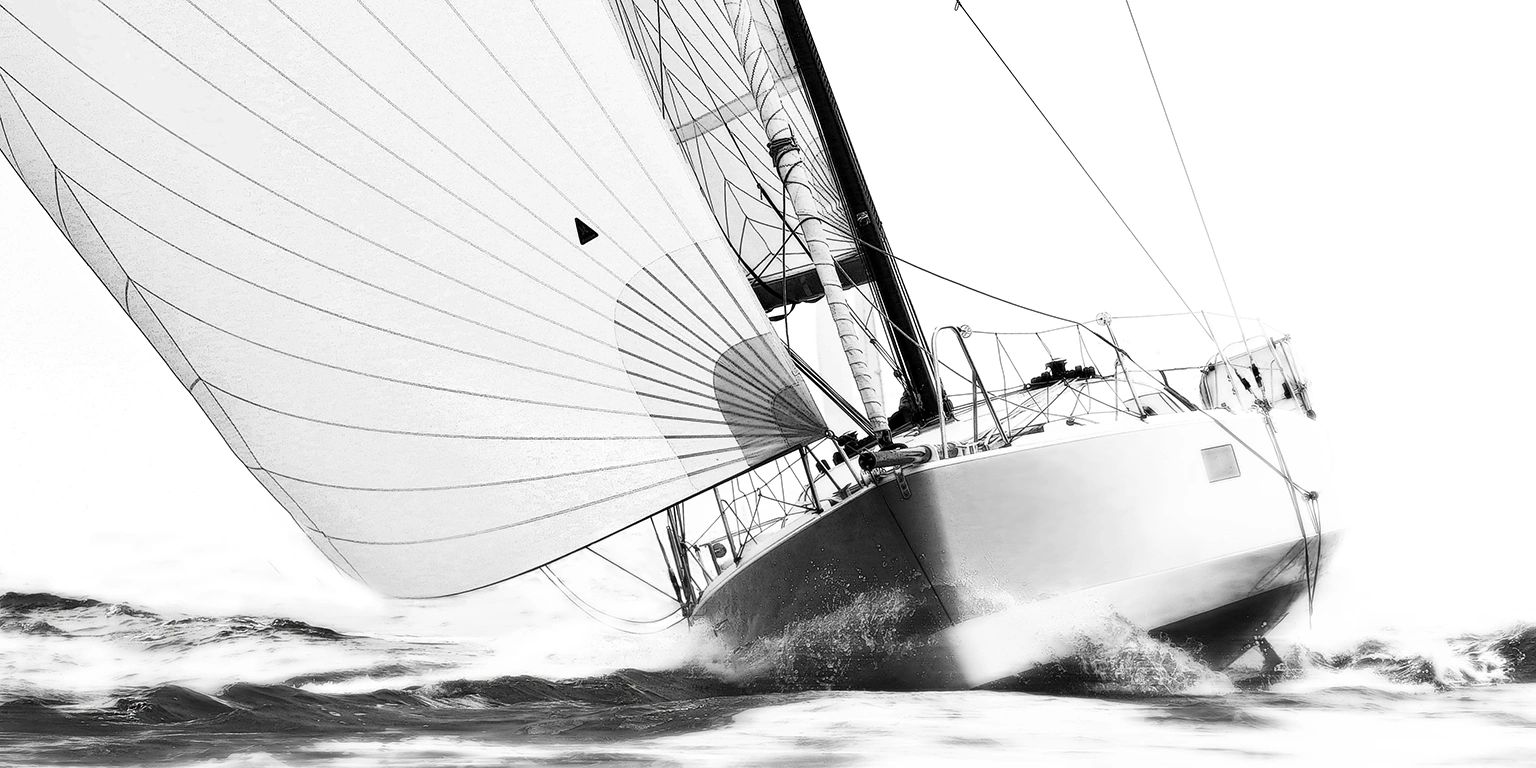 Spinnaker Health Care Solutions LLC - Stroke, Data, Analytics