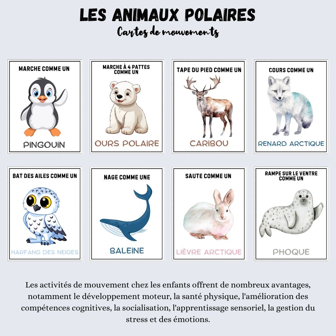 Cartes de mouvements: Les animaux polaires