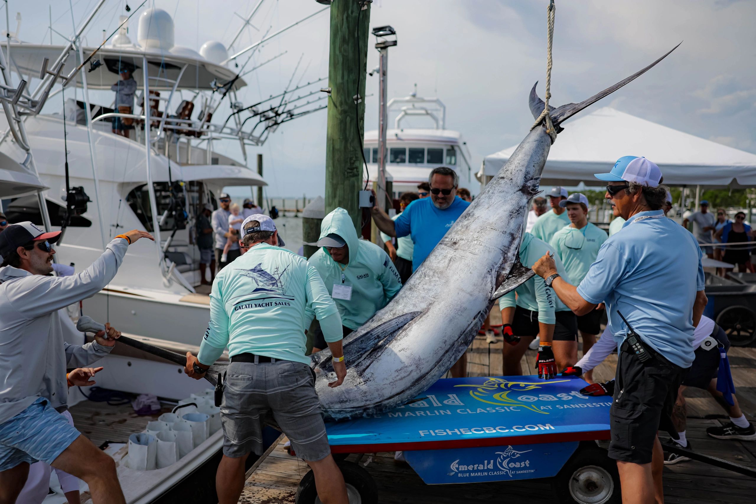 Join the Emerald Coast Blue Marlin Classic Today!