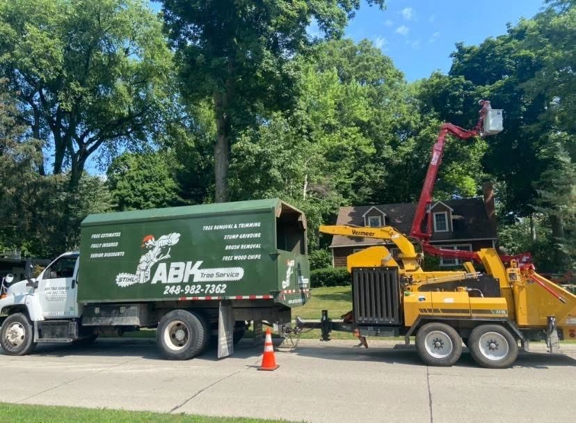 ABK Tree Service - Expert Tree Removal in Madison Heights and its ...