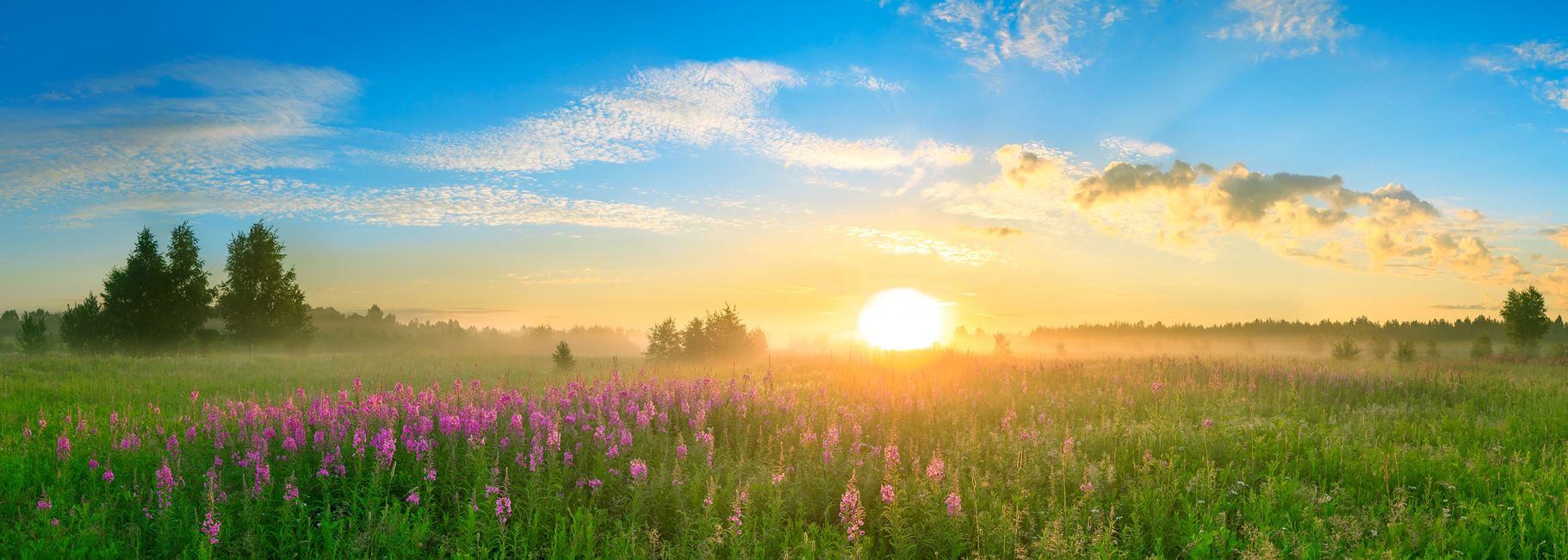 Seraphim Blueprint - Starlight Starbright Healing | Starlight ...