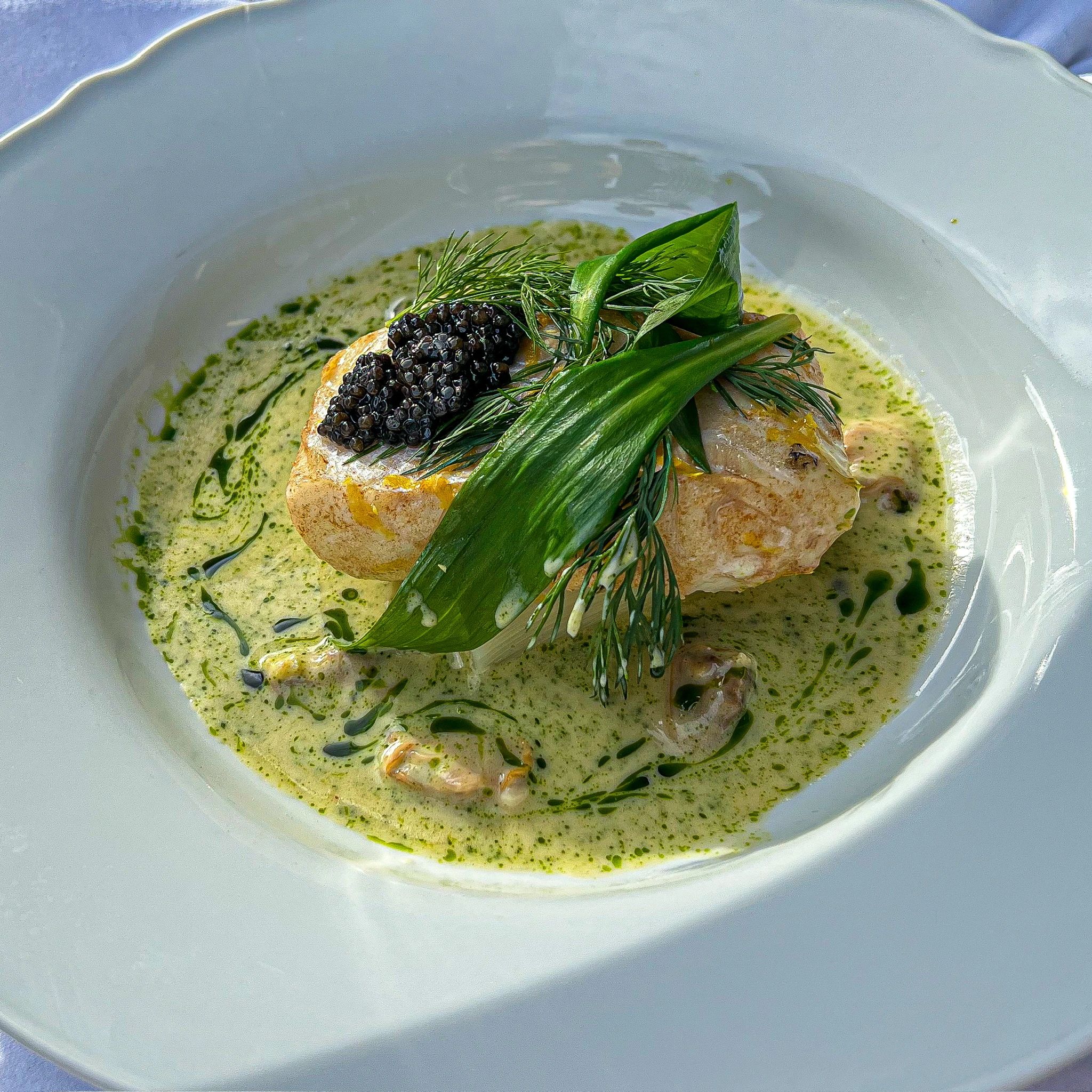 HOME [salsarose.co.uk]