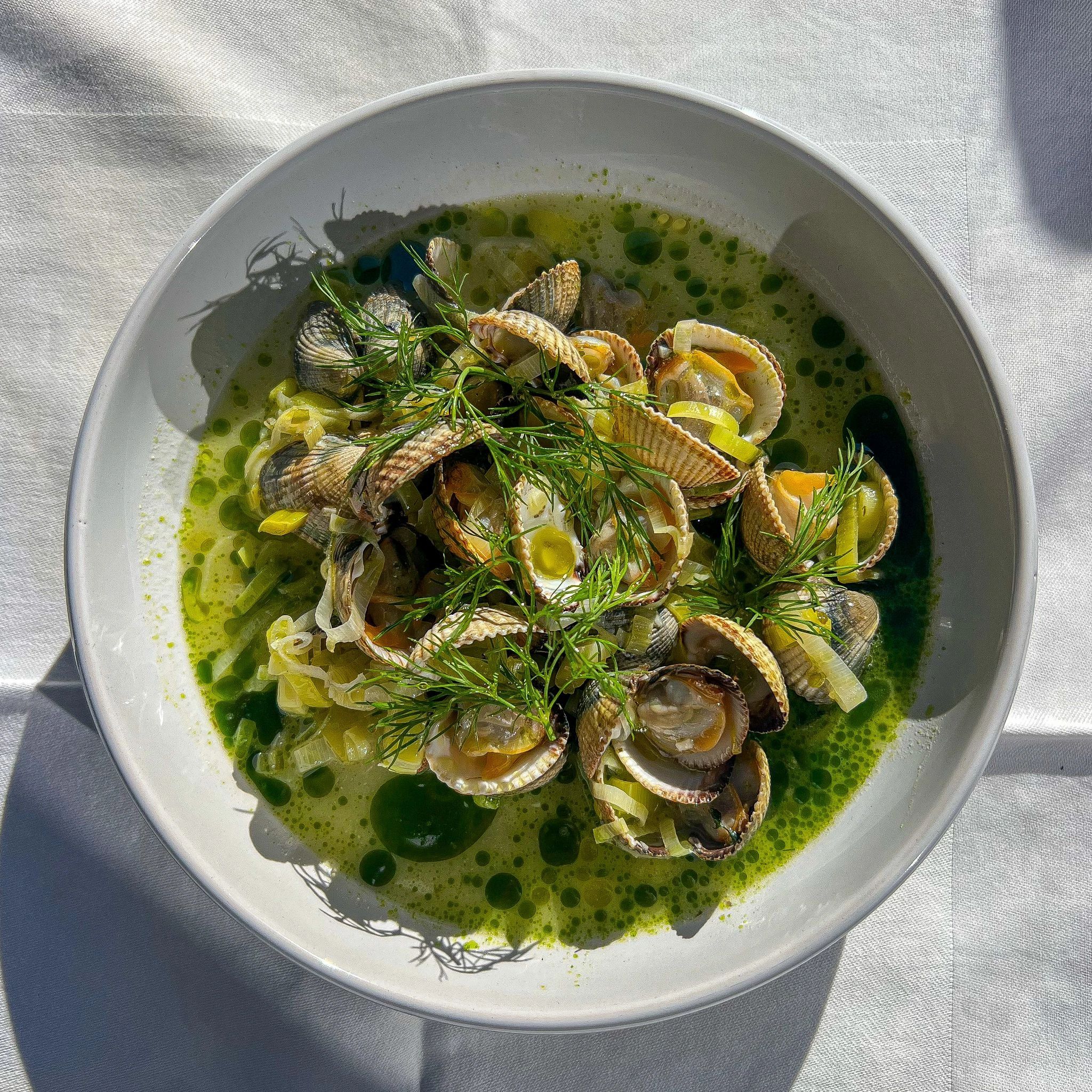 HOME [salsarose.co.uk]