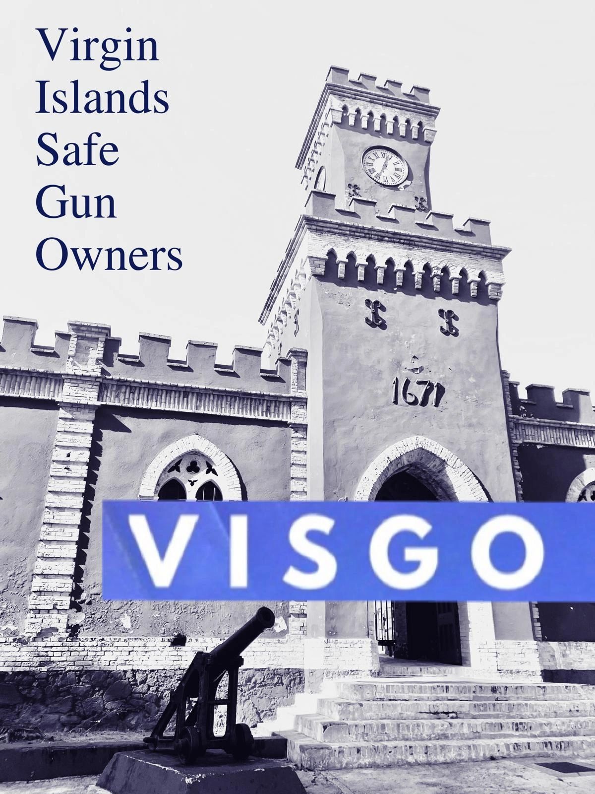 HOME [visgo340.org]