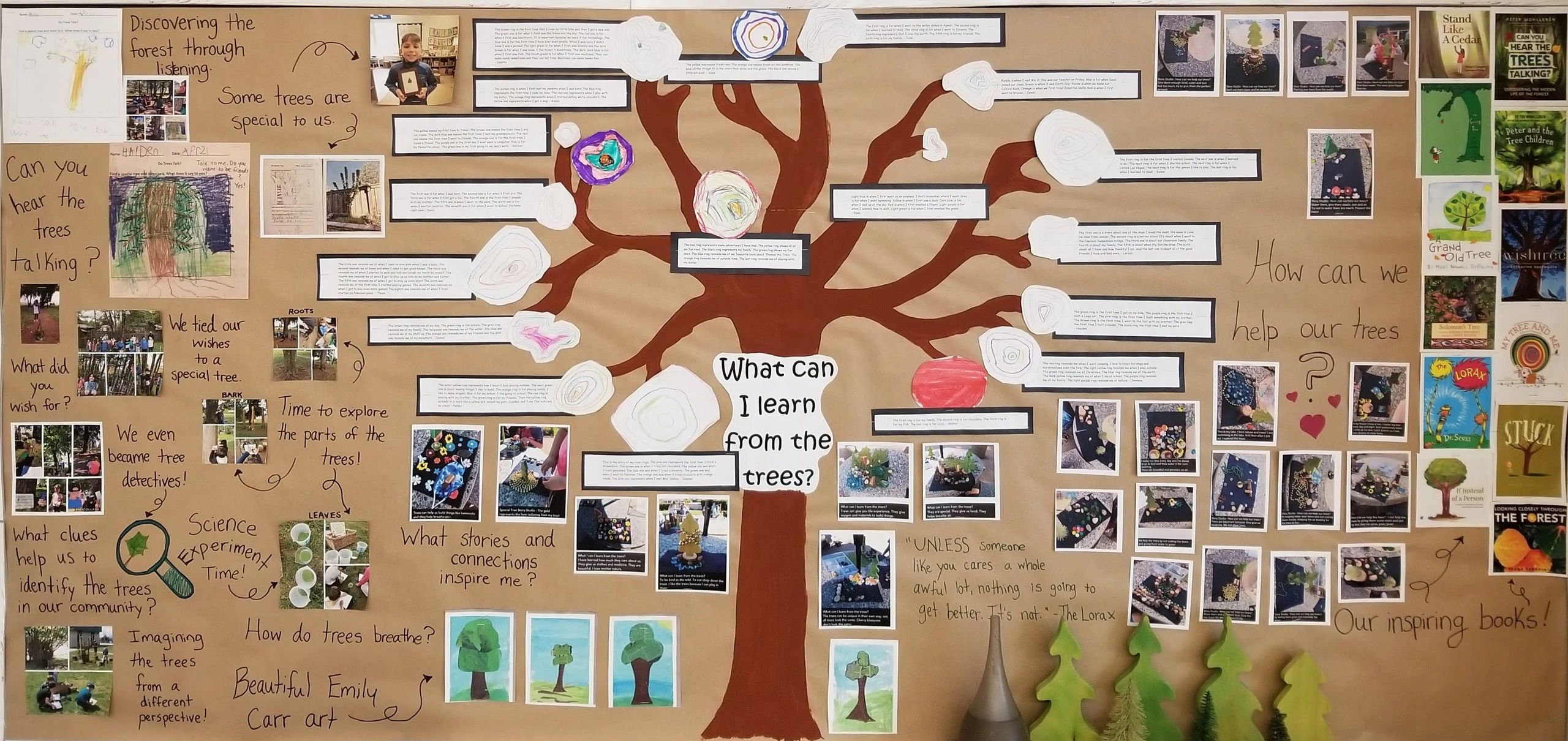 What can we learn from the trees?