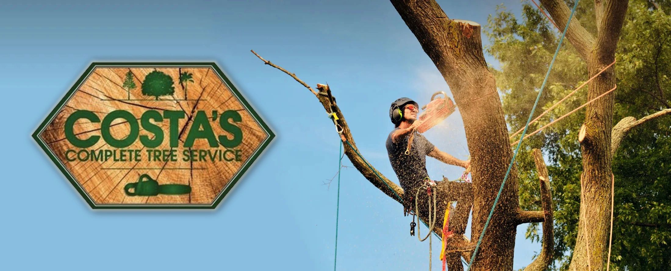 Costas Complete Tree Service