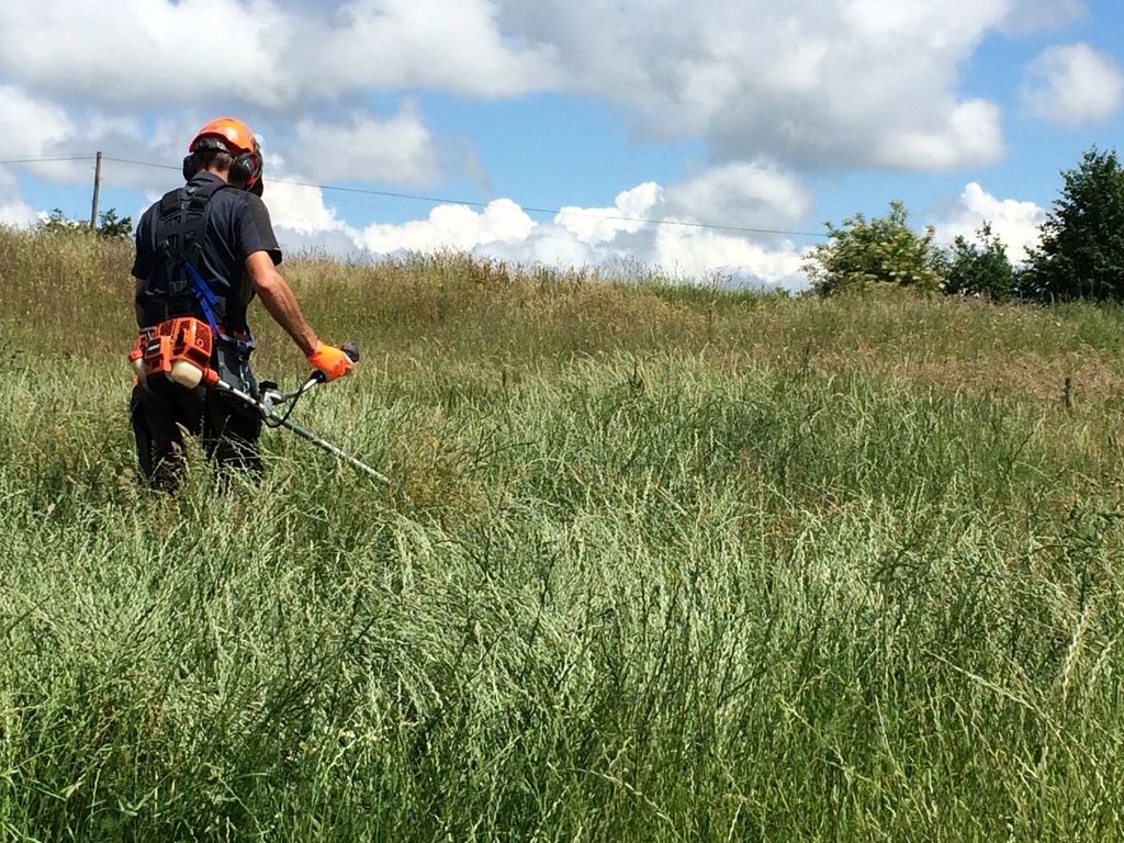 Commercial Grounds Maintenance Specialists, Grass Cutting, Gardeners ...