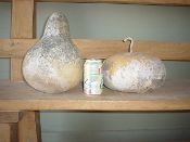 Giant Kettle and Canteen Gourd Combo