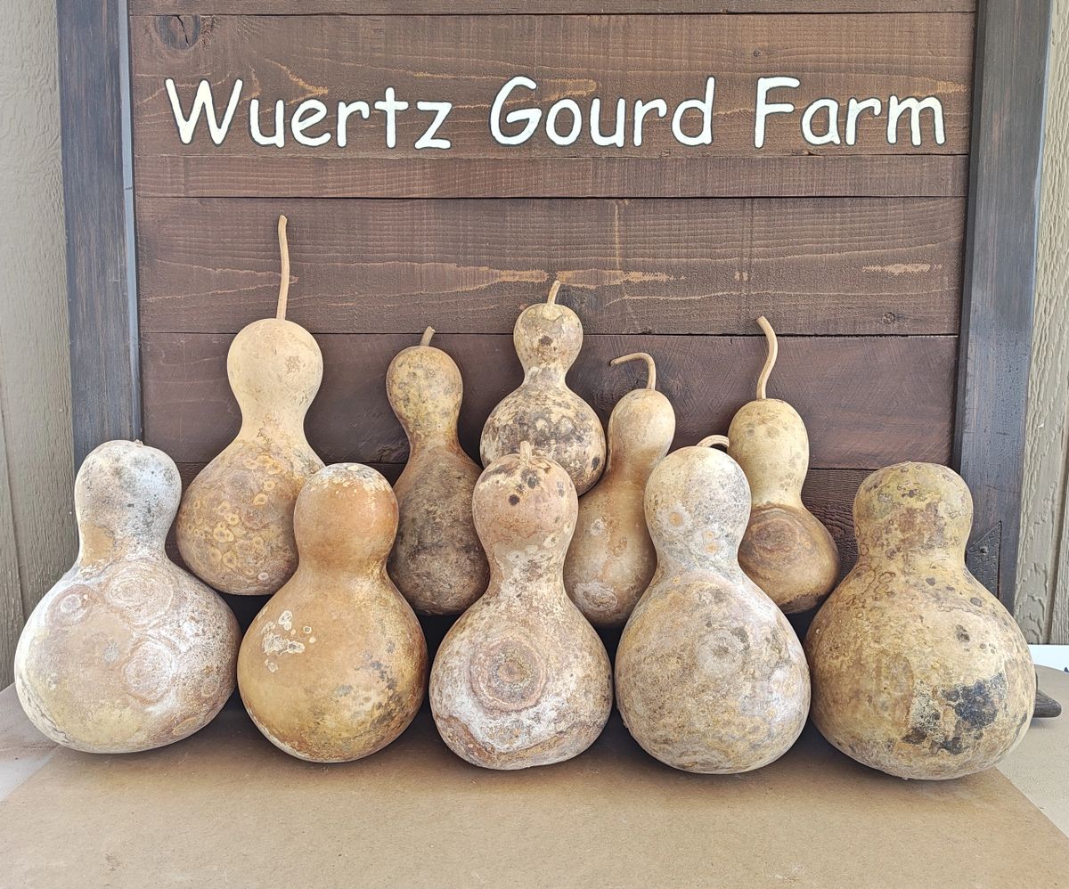 Ultimate Carving Bottle Gourd Special