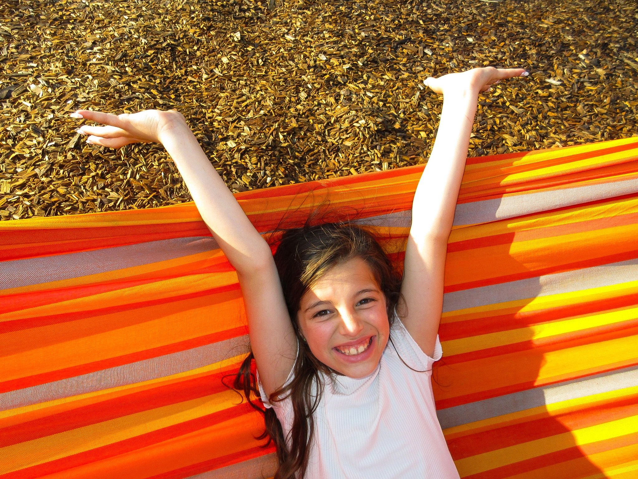 House Sitting Services | Savvy Sitters