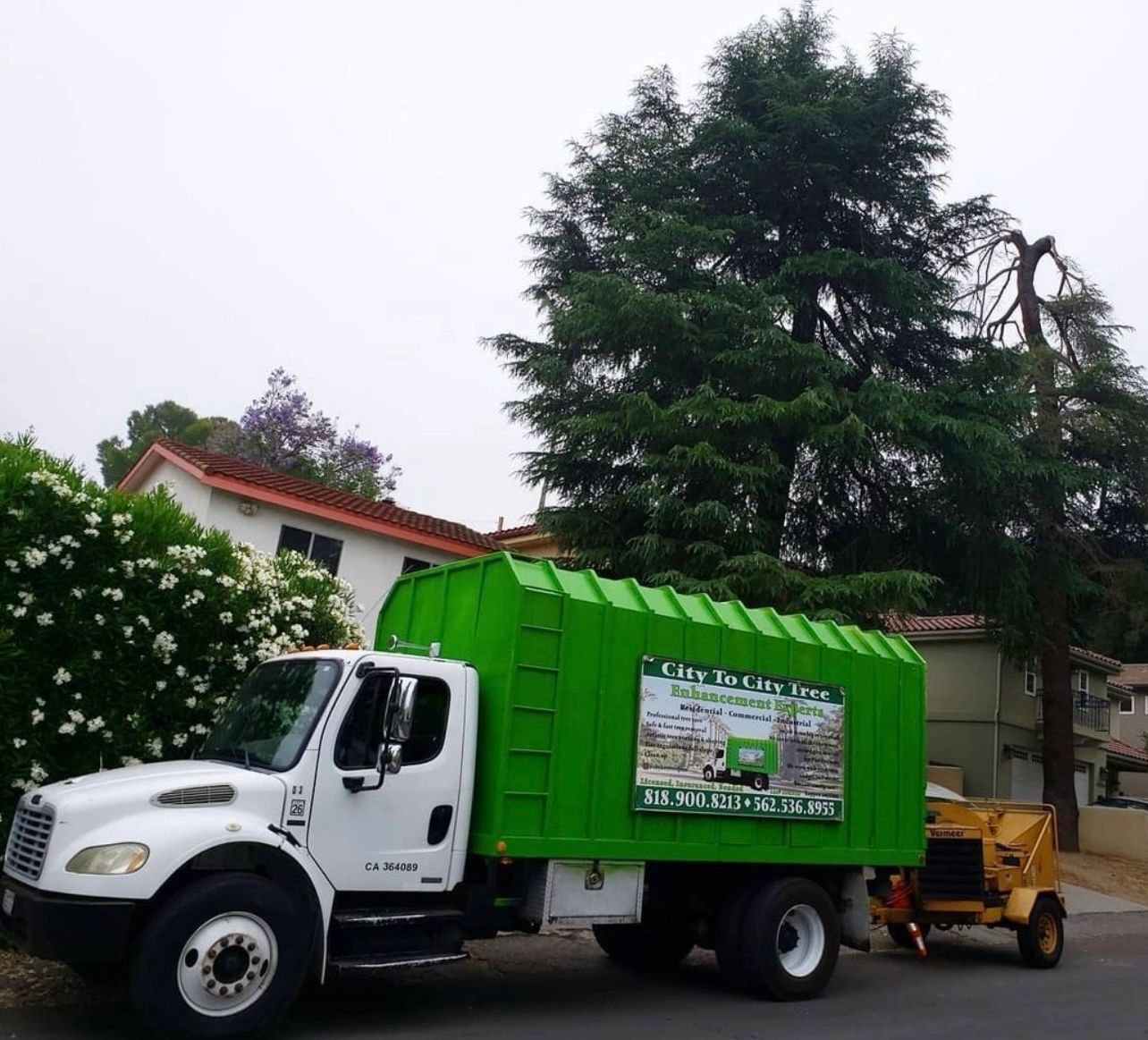 City2City Tree Experts