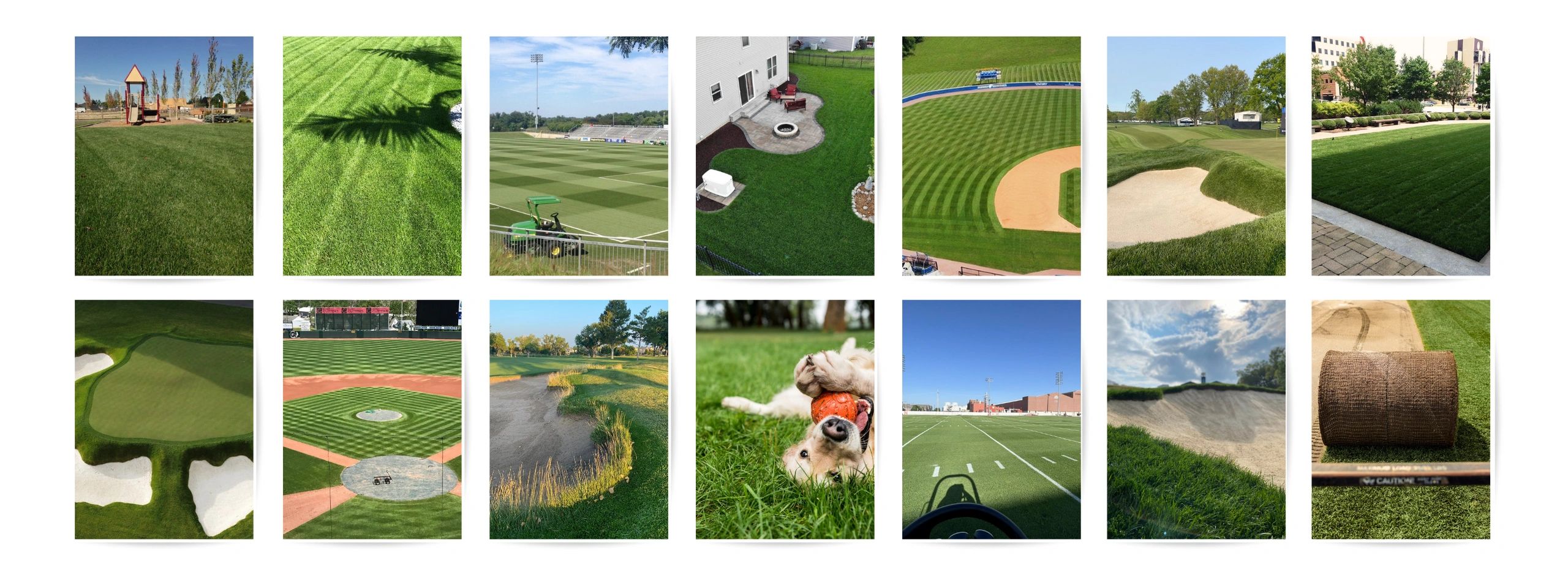 Turf Producers Association - Sod Grass, Tall Fescue, Bluegrass