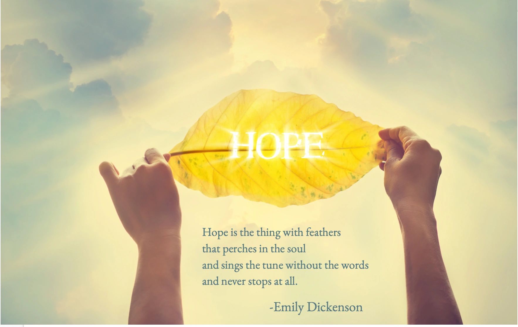 Hope Reimagined, Mental Health & Education Support Services