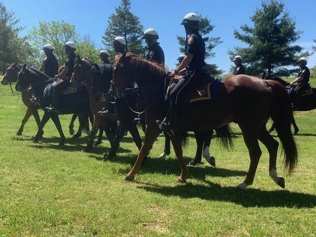 FAQ | Blue Line Stables