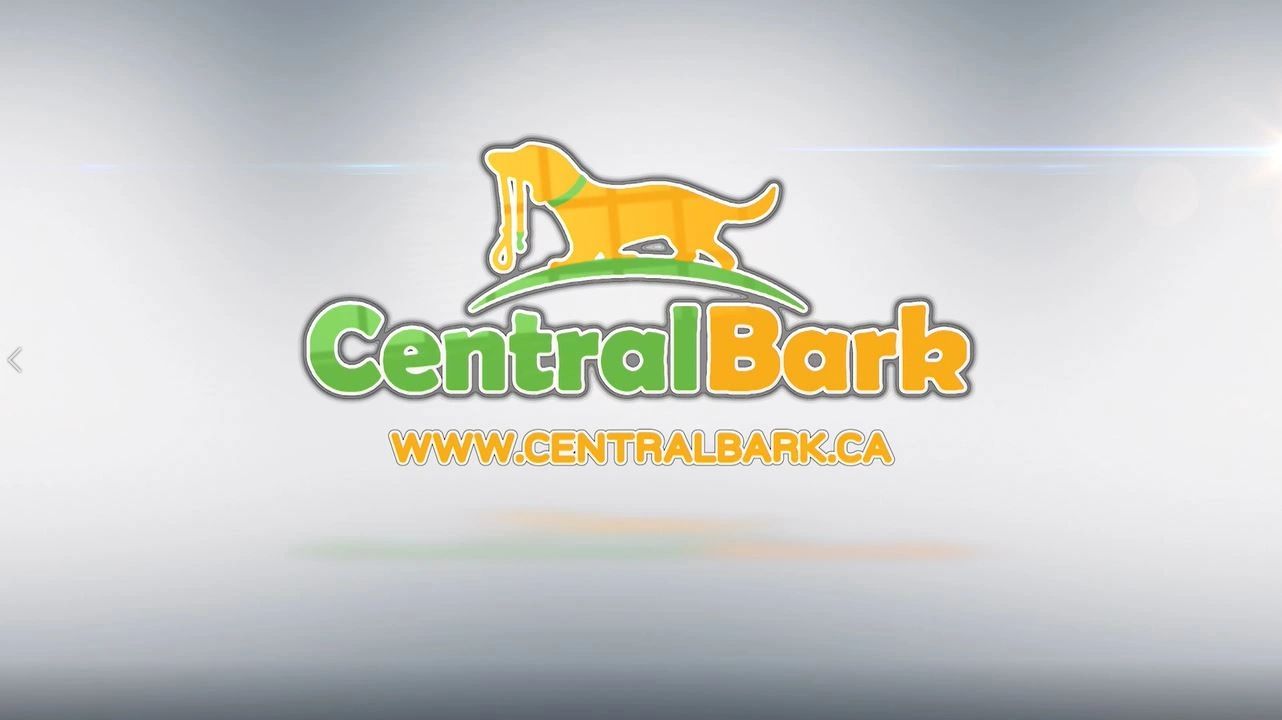 Central Bark, Logo Reveals, Social Media Marketing, Winnipeg