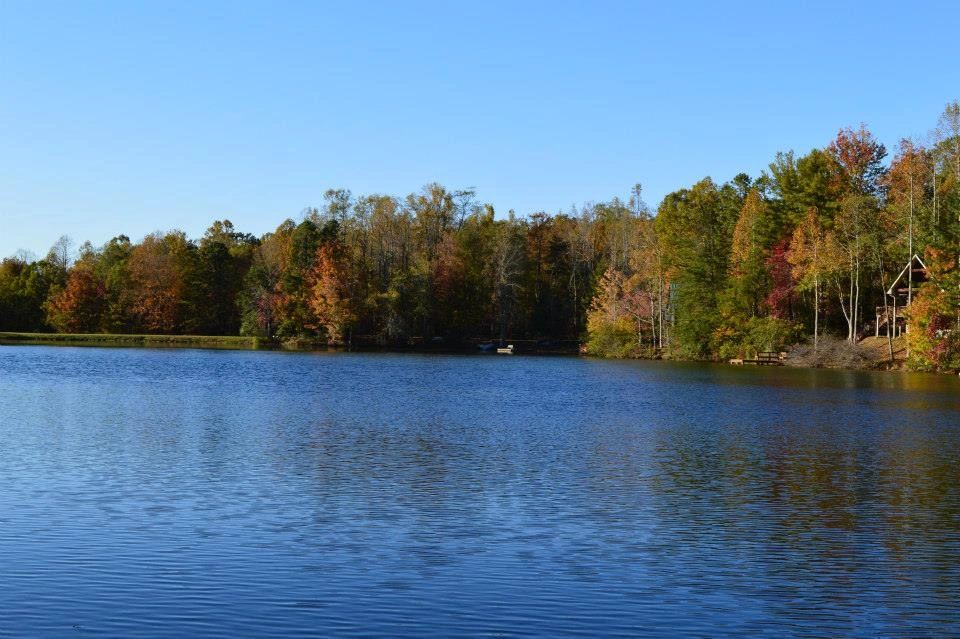 Lake Runner Fish: Species and Regulations at Line-Runner Lake