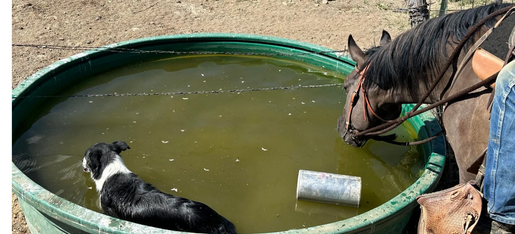 Dealers Near You - Watson Floats & Valves