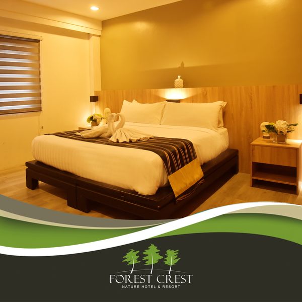 Rooms and Suites | Forestcrestnatureresort