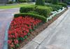 Landscape Services Metairie - Clean Cut Landscape Inc. | Clean Cut ...