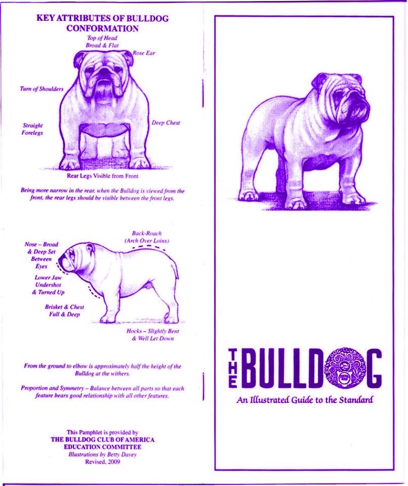 Breed Standards