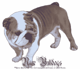 Rare Color Chart | Rare Bulldogs | Masters of Color