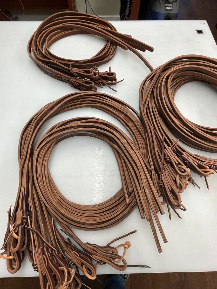 Reins