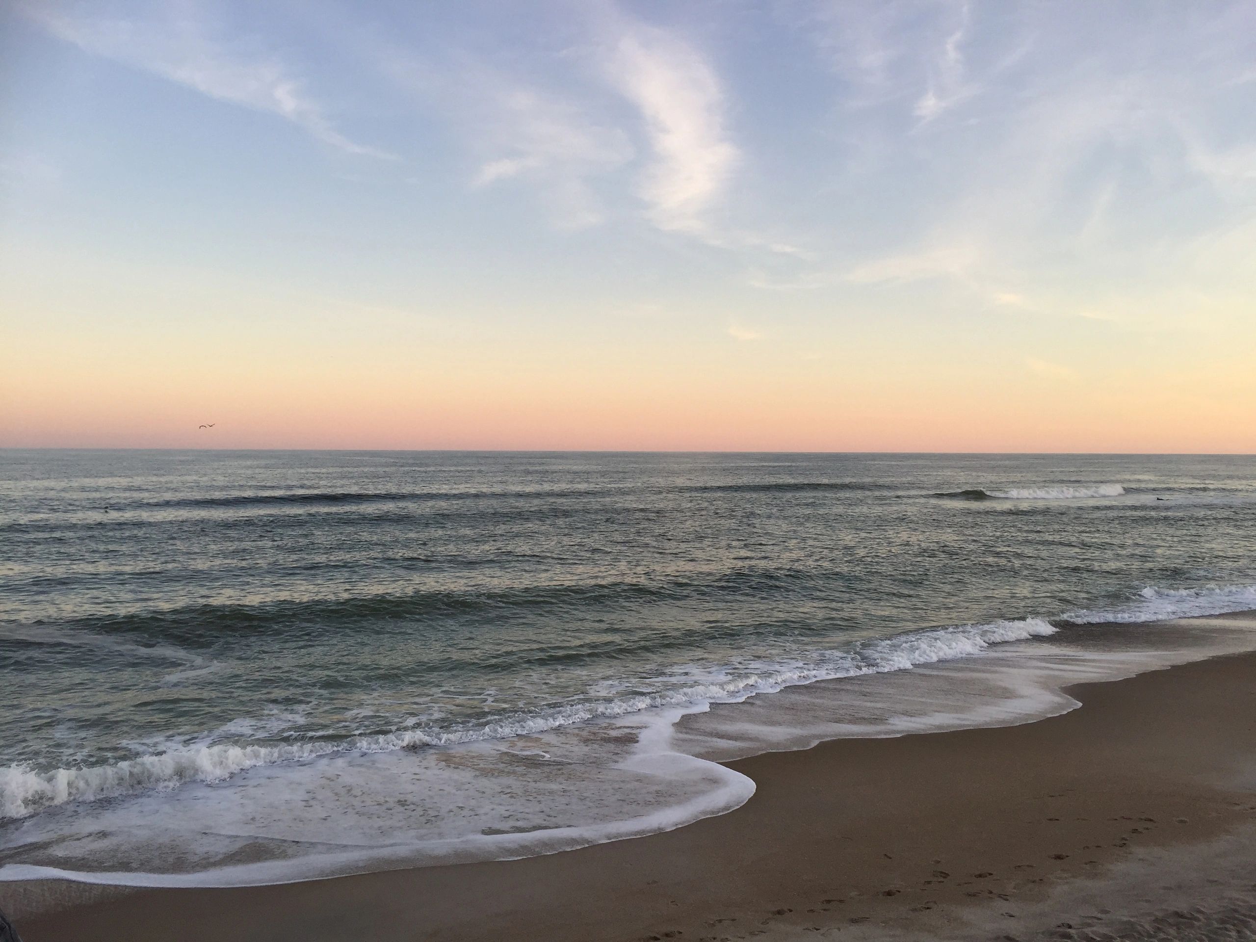 The Voice of Choice - Voice Actor, Actor, Voice Over