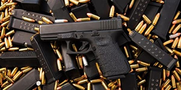 Palmetto Firearms LLC - Firearms, Personal Protection