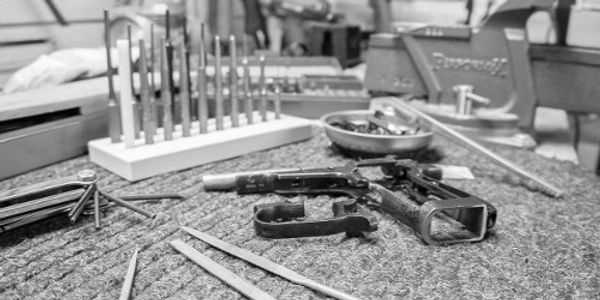 Palmetto Firearms LLC - Firearms, Personal Protection