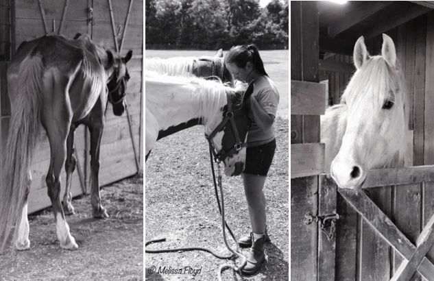 Redemption Road Rescue