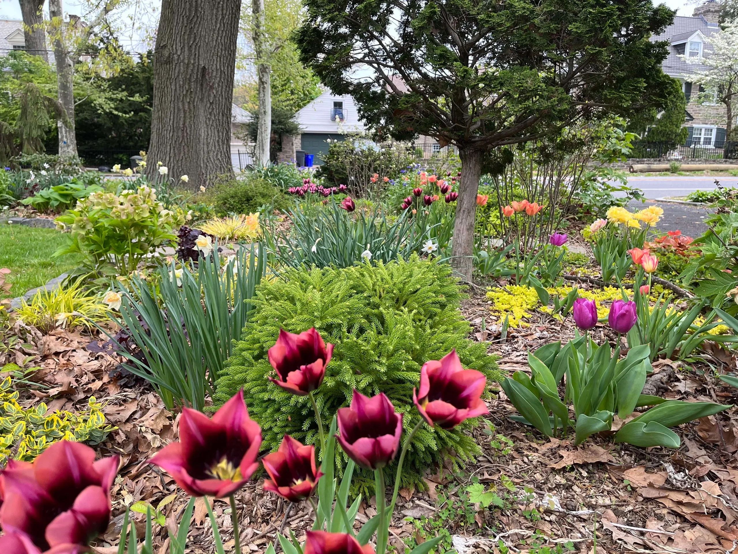 Wissahickon Landscape Design in Philadelphia, Pennsylvania