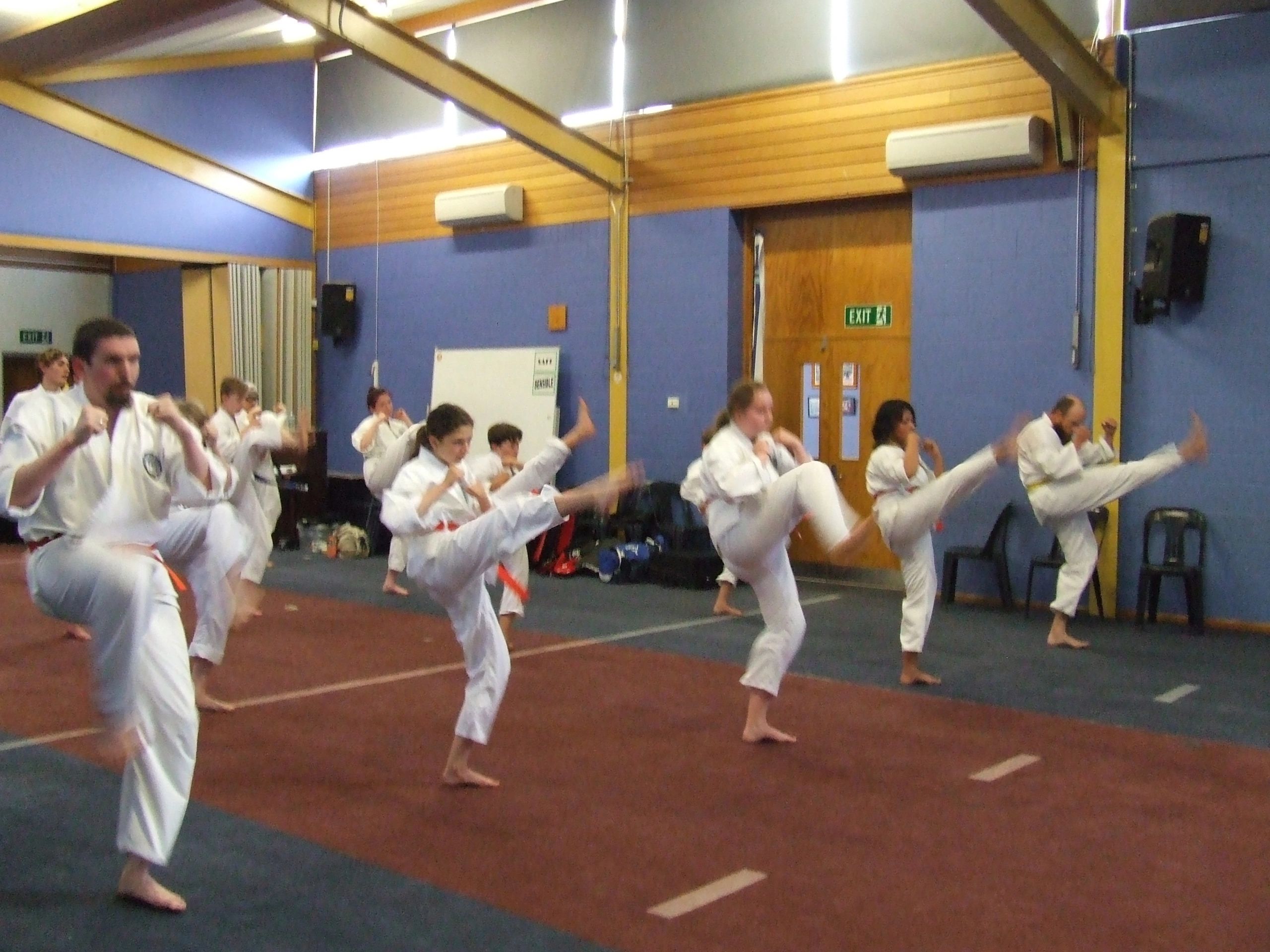 Karate Kingston