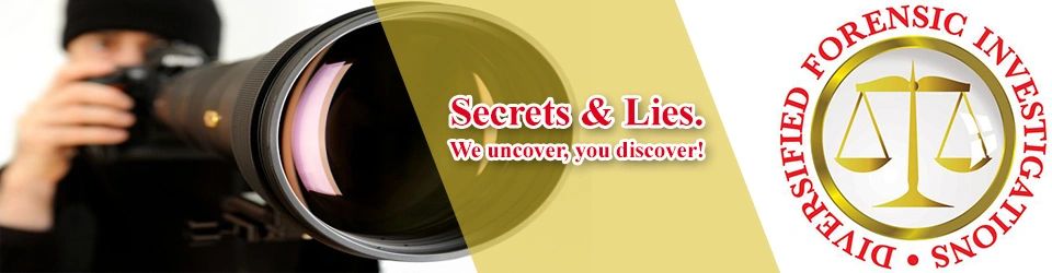 Diversified Forensic Investigations