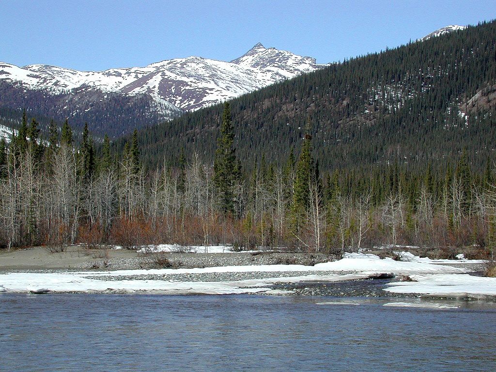 Fraser's Hill