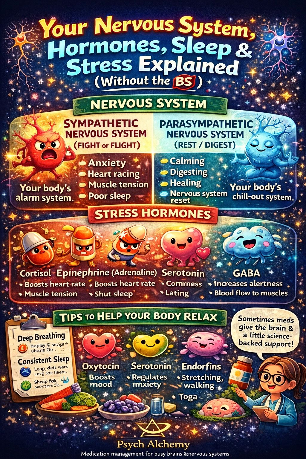Your Nervous System, Hormones, Sleep & Stress Explained