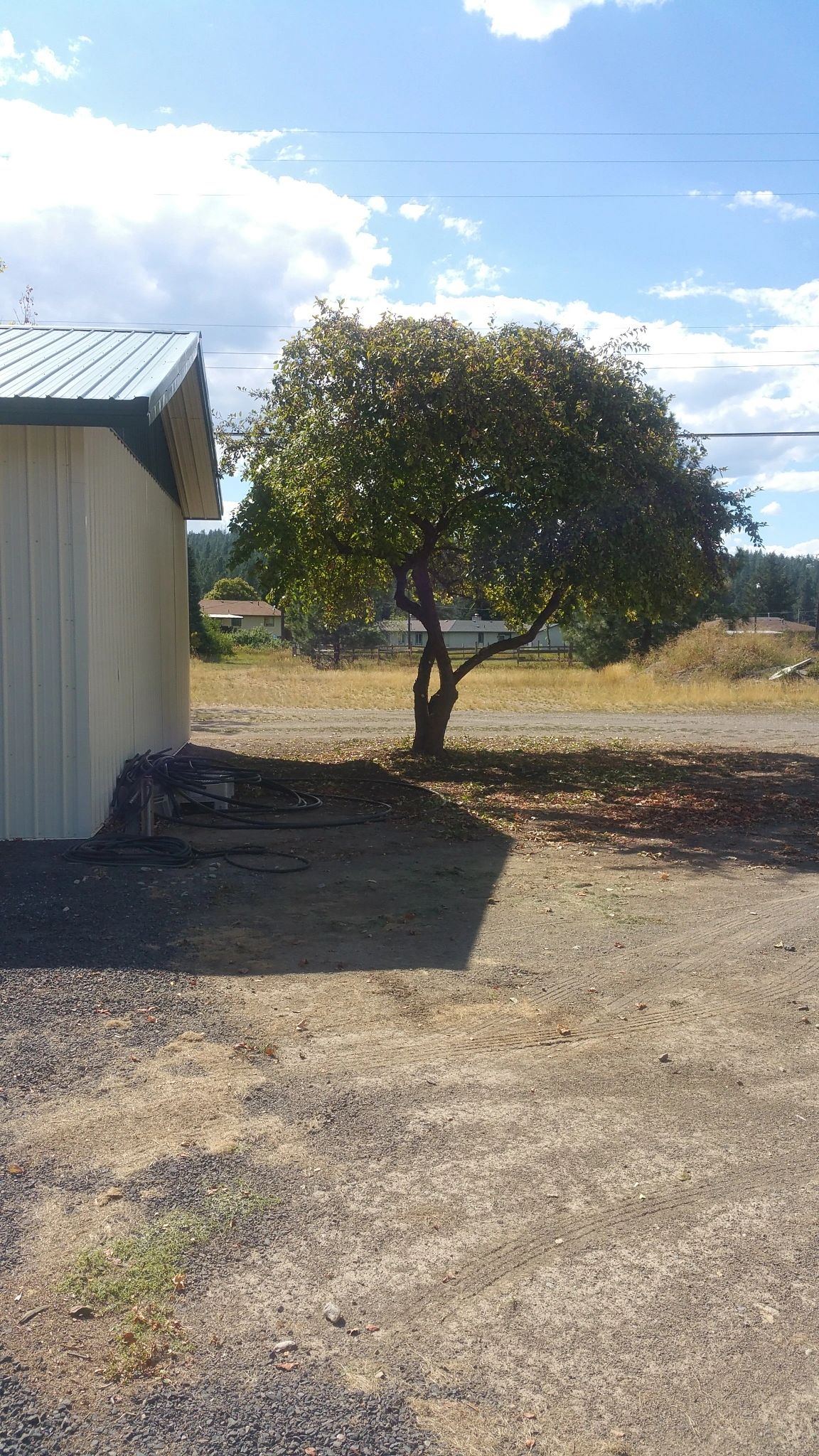 Treepro Landscape Company