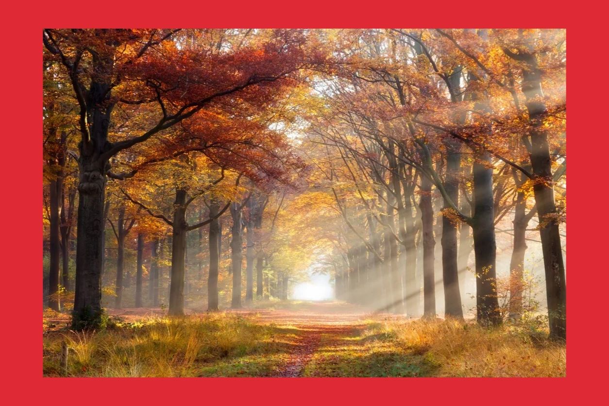 Empower Your Soul with Enlighten Souls Consultant