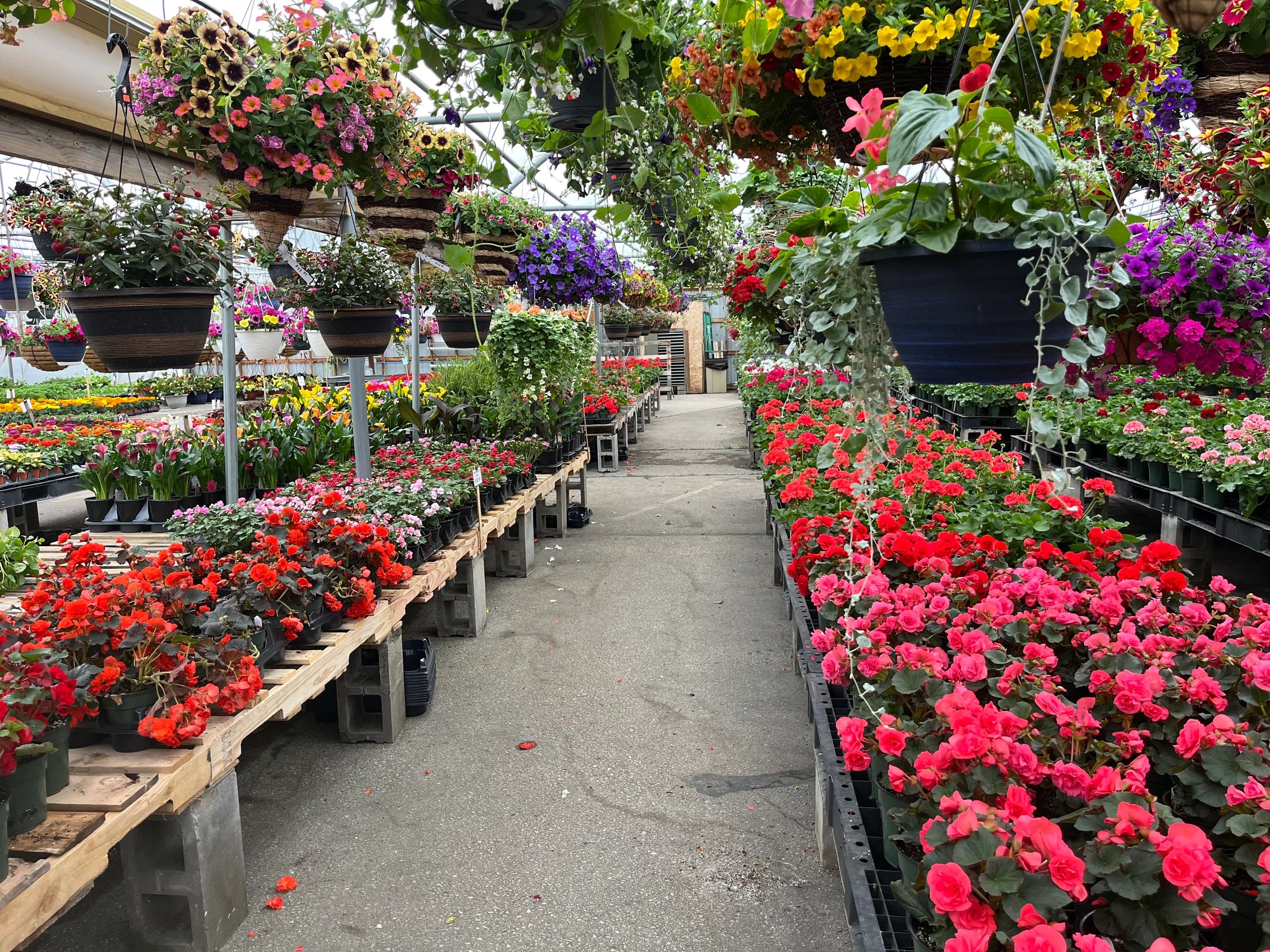 Valley Market - Fresh Produce in Coon Valley Area