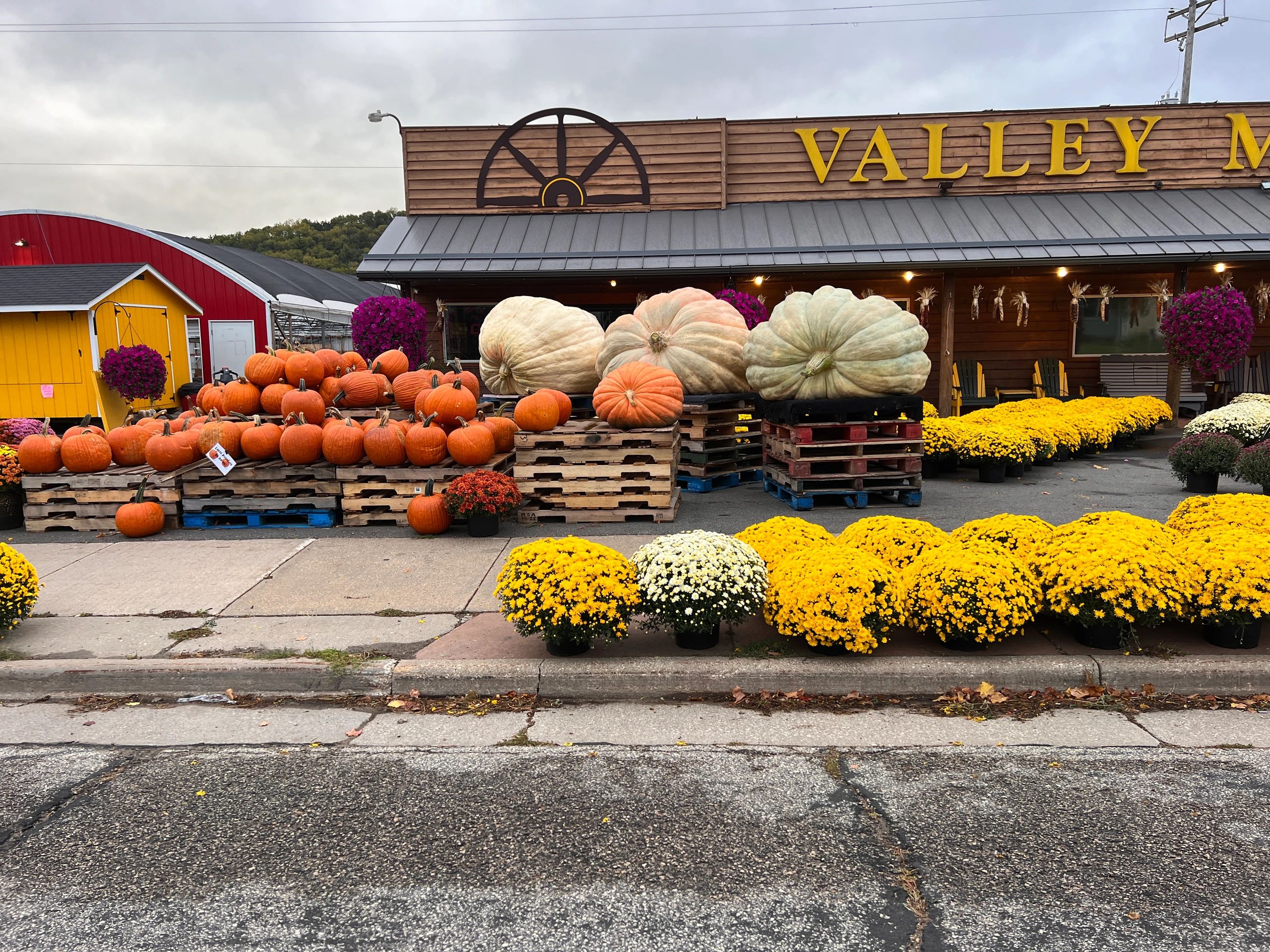 VALLEY MARKET
