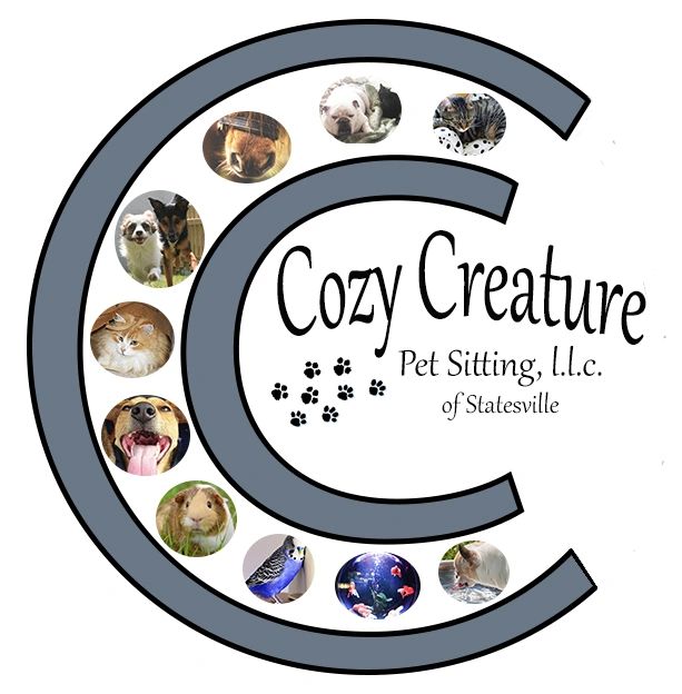 Cozy Creature - Pet Visits - Statesville, North Carolina | Cozy Creature