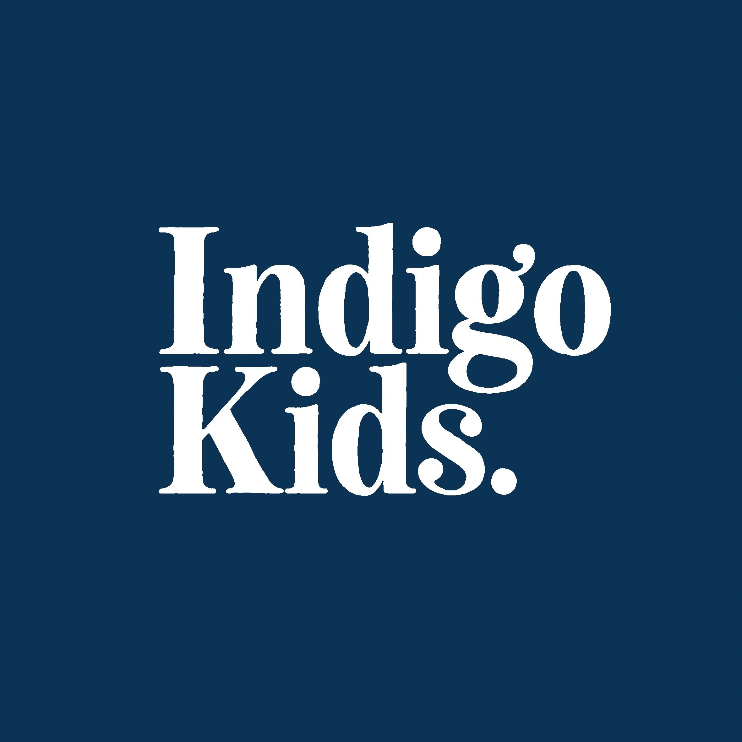 Indigo Kids - Screen Acting School