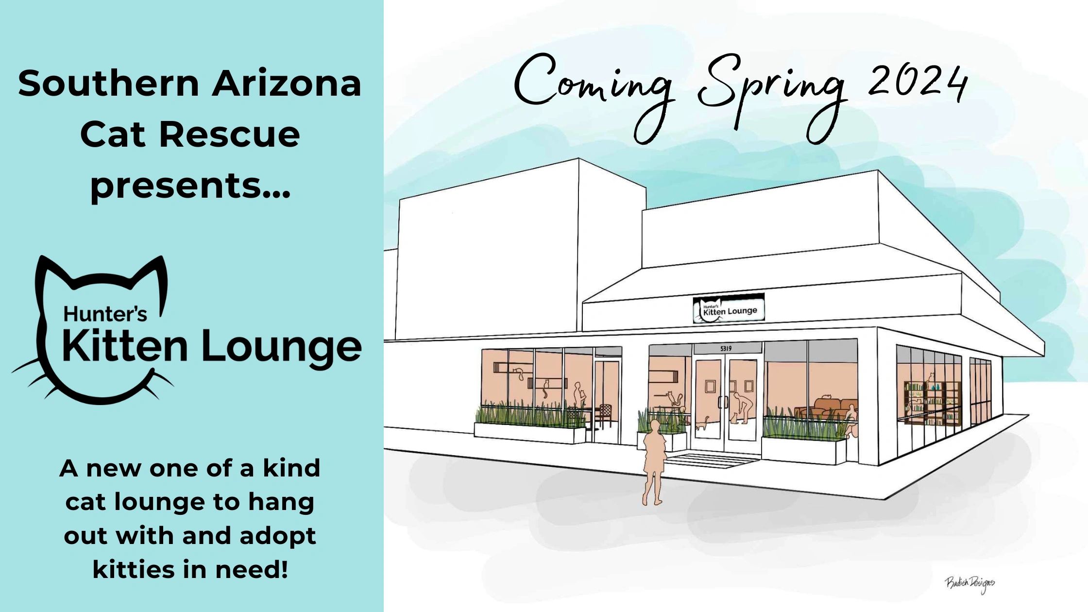 Southern Arizona Cat Rescue - Cat Rescue - Tucson, Arizona