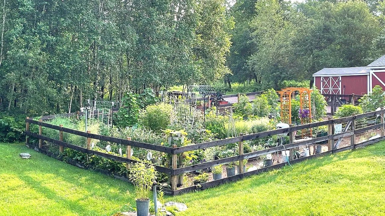 Fresh and High-Quality Microgreens at 2 GALS Farm Works