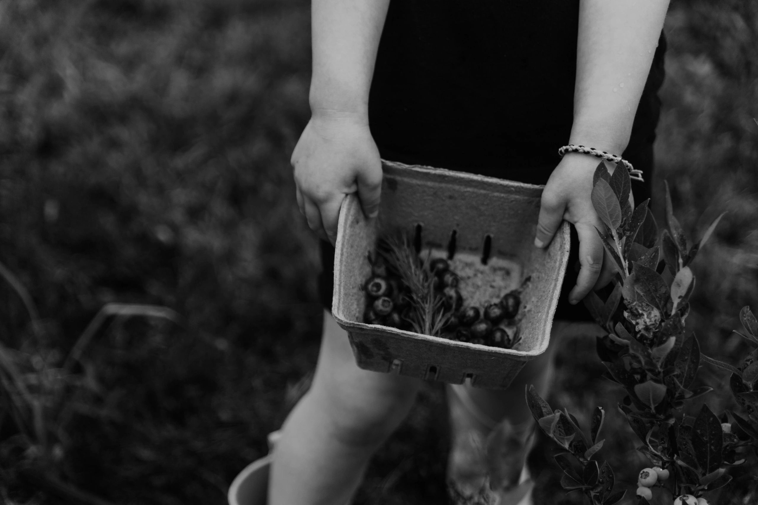 Professional Photography Services | Studio White Photography