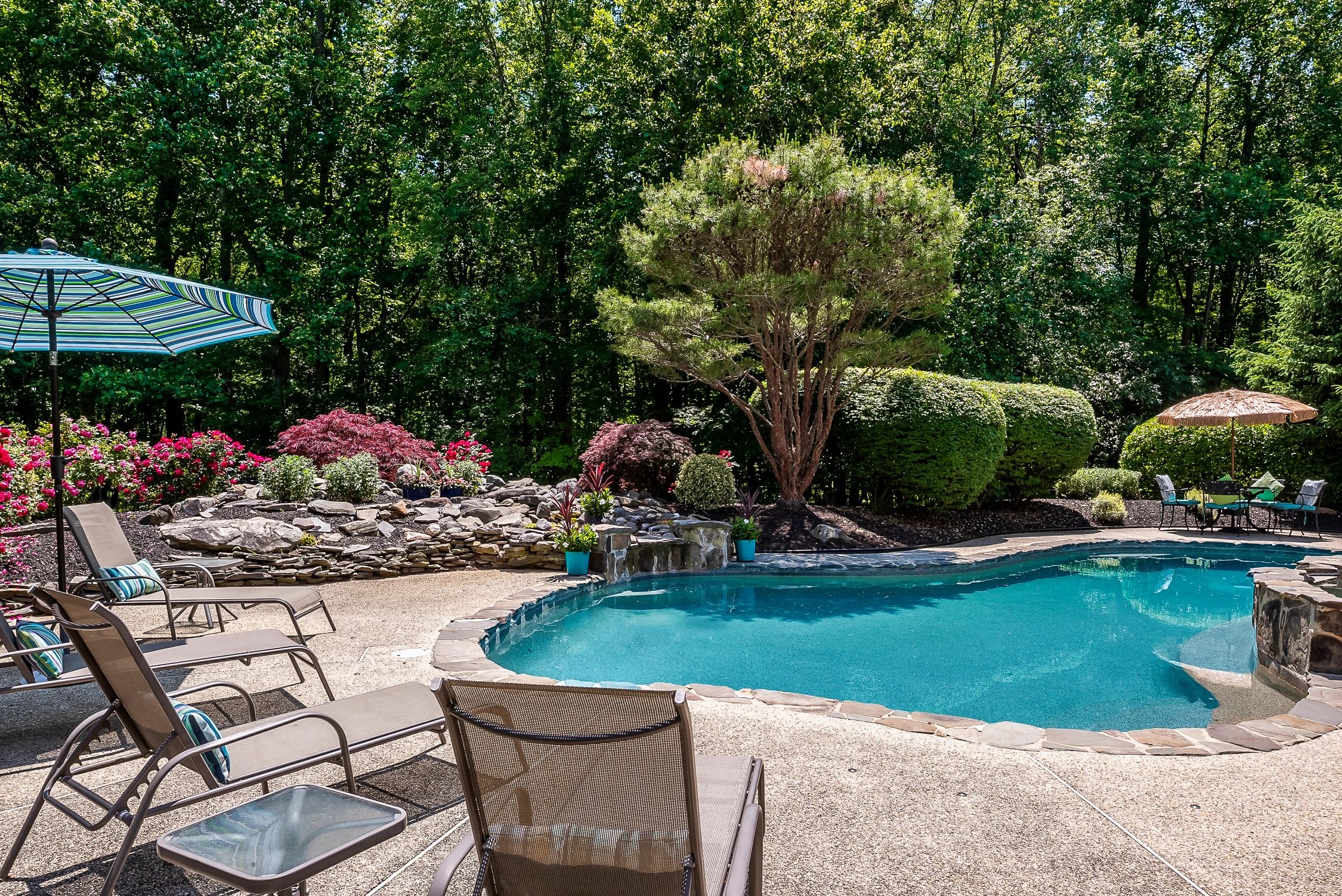 Services and Pricing